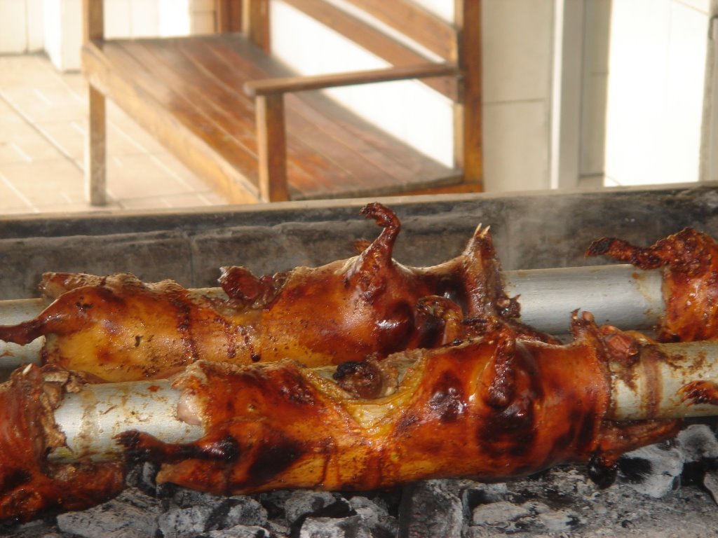 Receta ecuatoriana: CUY ASADO. - Manta Online